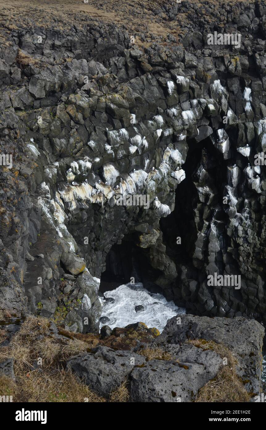 Great basalt column rocks and cavern on hte coast of Iceland Stock ...