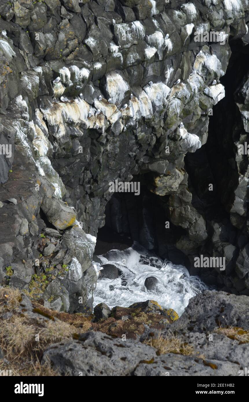 Icelandic tide pool in a cavern made of basalt column stones Stock ...