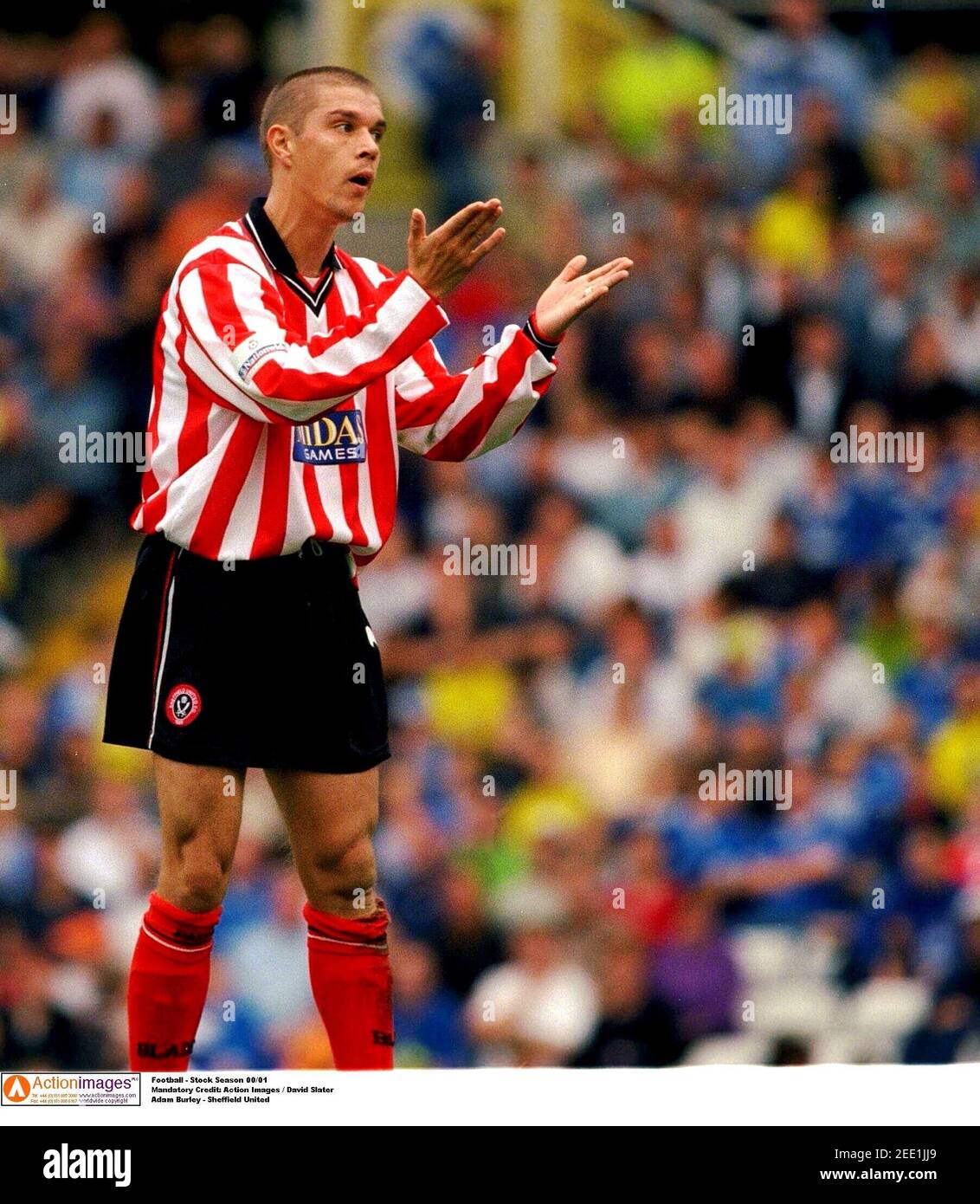 Adam burley hi-res stock photography and images - Alamy