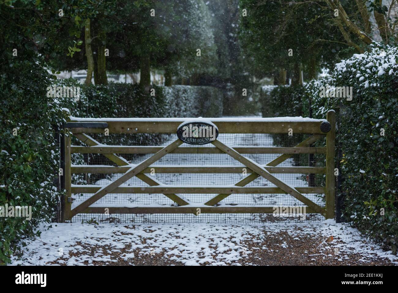 Snow covered garden gate and robin on ground February, 2021 Stock Photo ...
