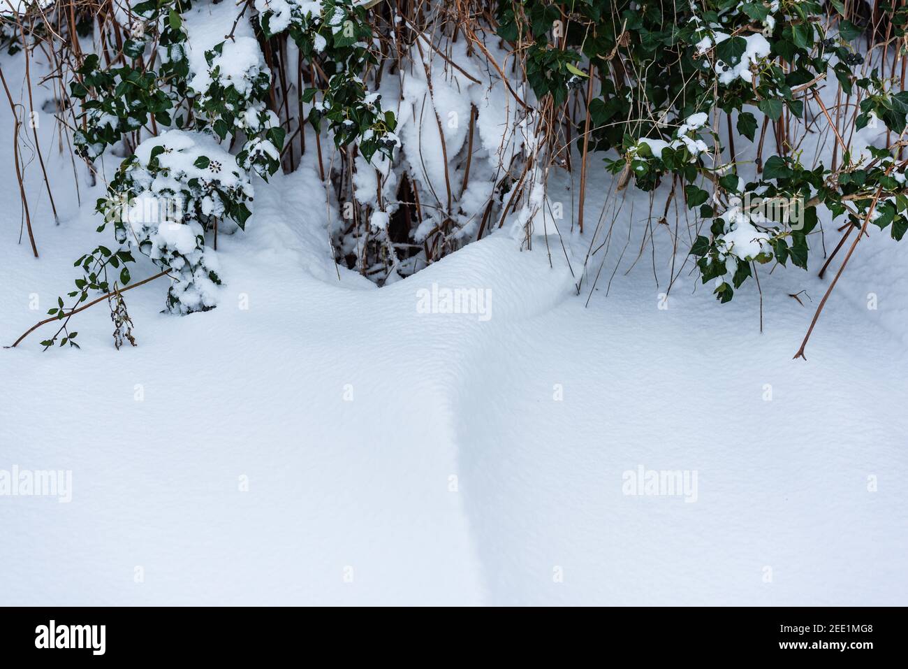 Against snow bank hi-res stock photography and images - Alamy