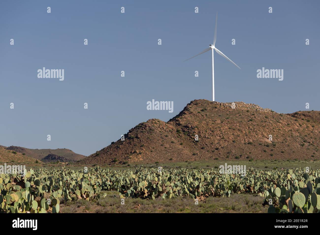 A wind turbine at a wind farm in the Northern Cape of South Africa ...