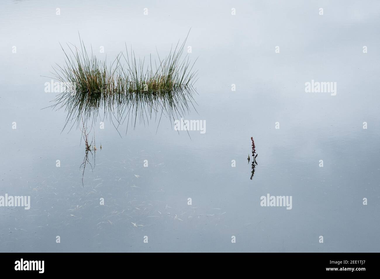 Water like glass hi-res stock photography and images - Alamy