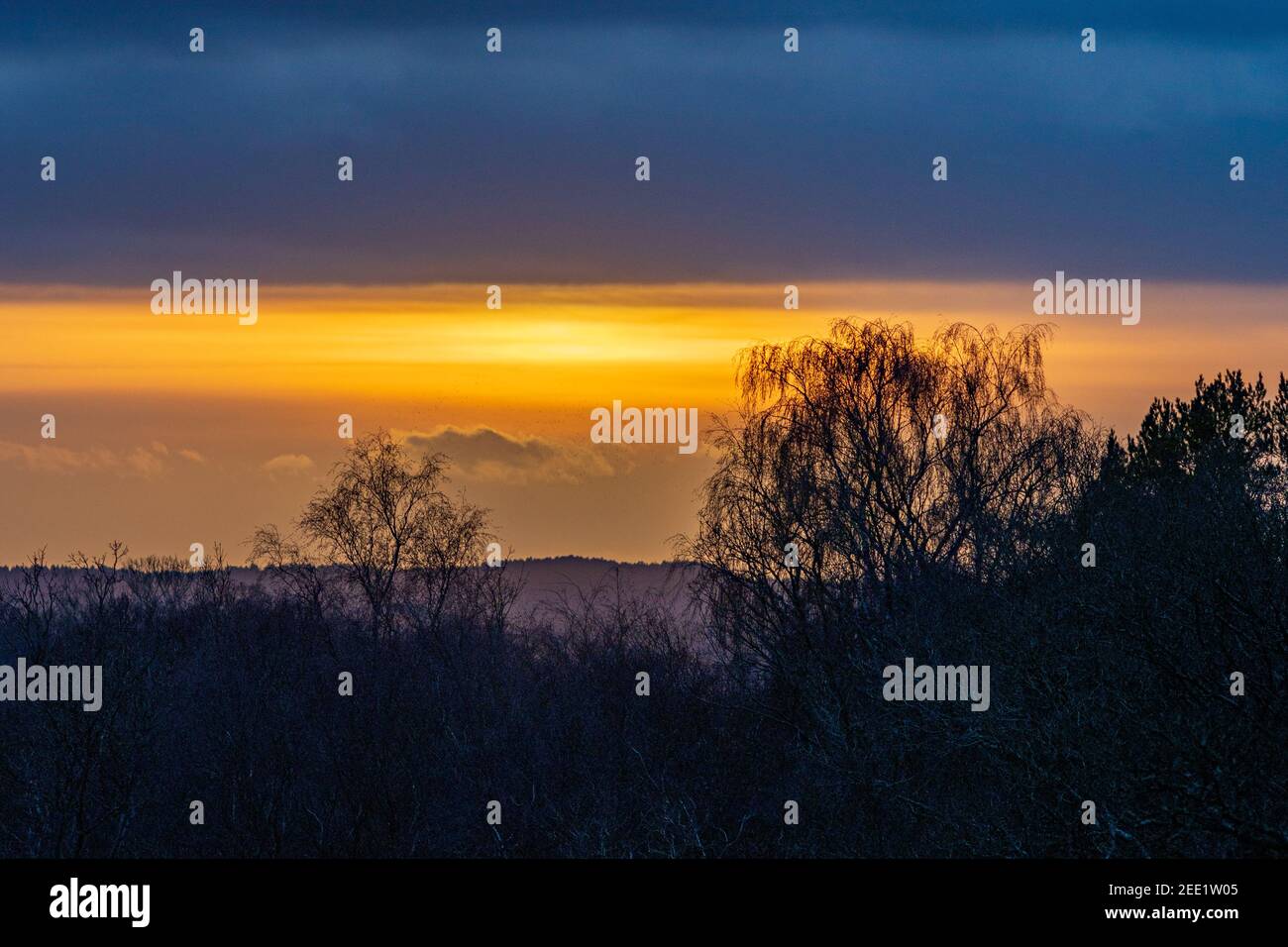 Dark sunset trees hi-res stock photography and images - Alamy