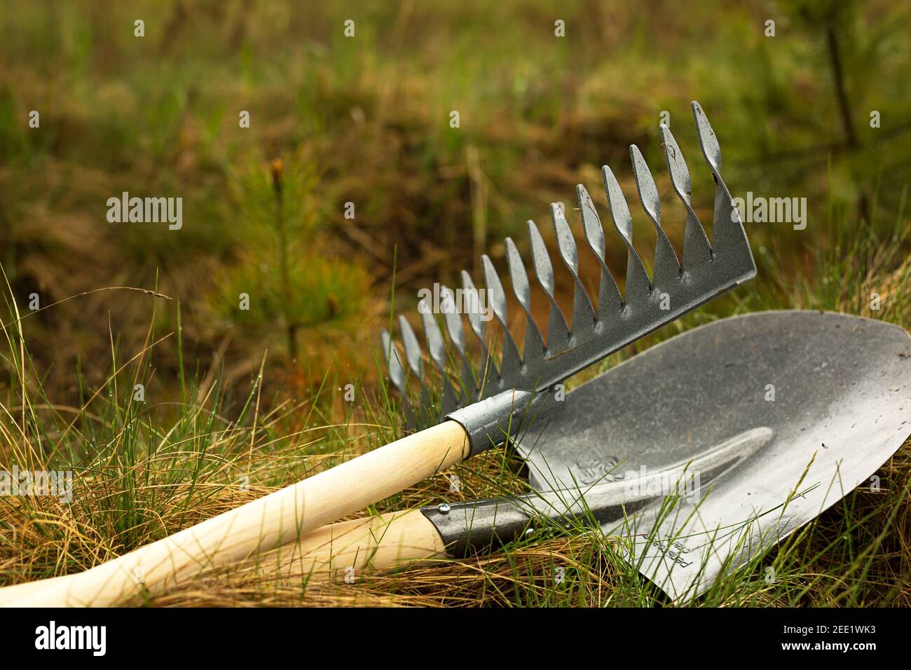 Planting seeds garden rake hi-res stock photography and images - Alamy