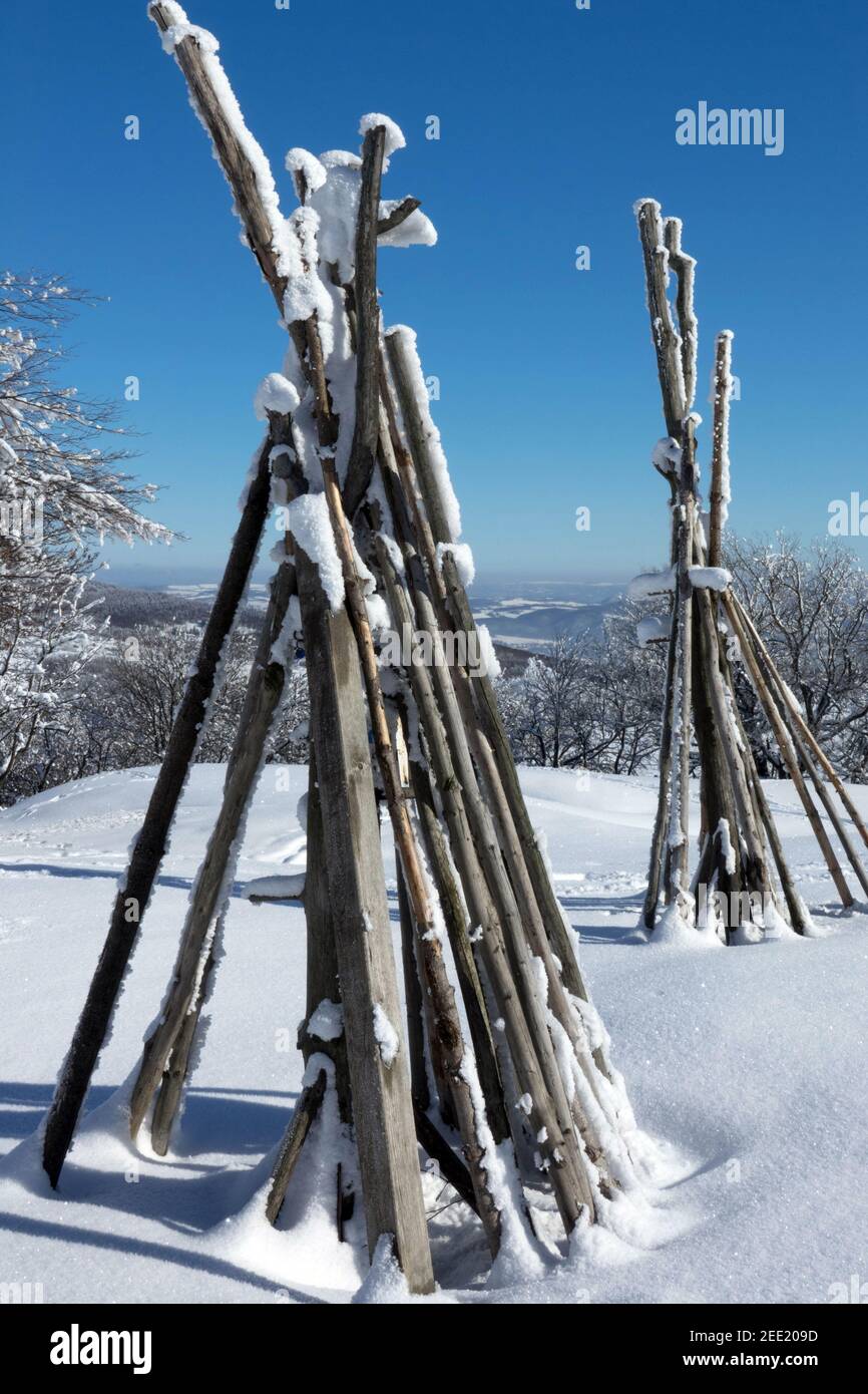 Frozen snow sticks hi-res stock photography and images - Alamy