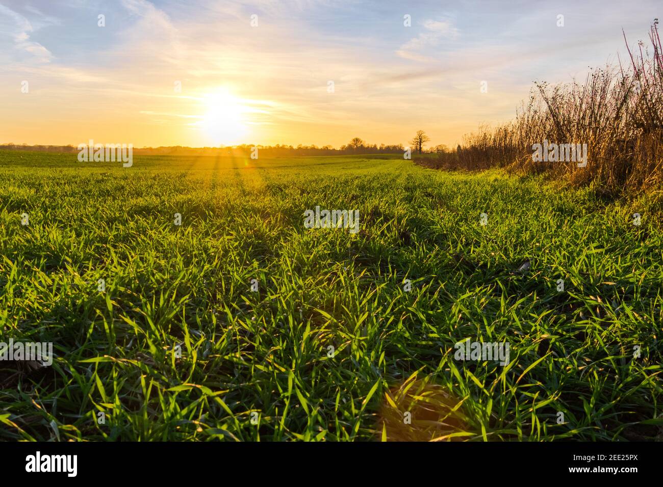 Sun over the fields Stock Photo - Alamy