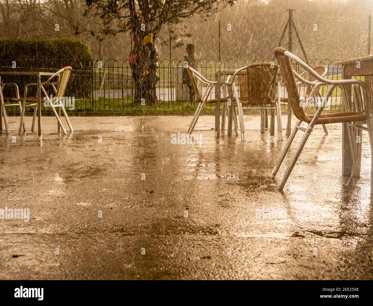Heavy downpour in an urban park Stock Photo - Alamy