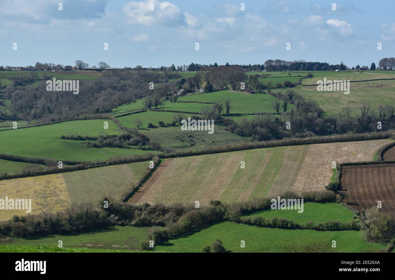 Valley spring bath somerset hi-res stock photography and images - Alamy