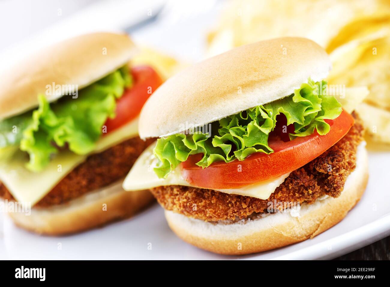 Mini Crispy Chicken Burger with Lettuce Tomato and Cheese Stock Photo ...