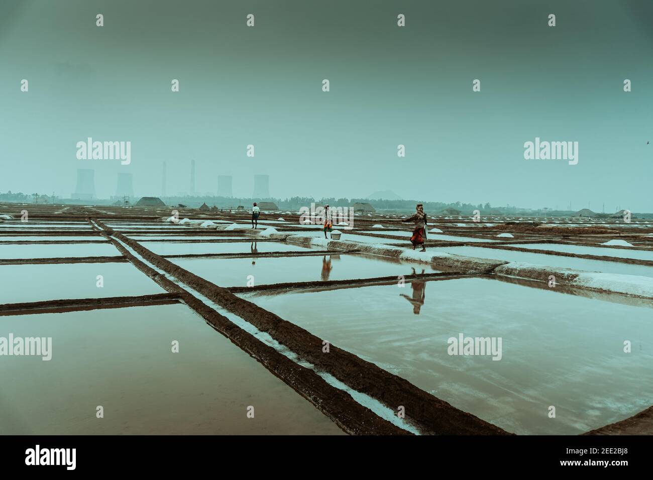 Production of salt on a farm in India Stock Photo - Alamy