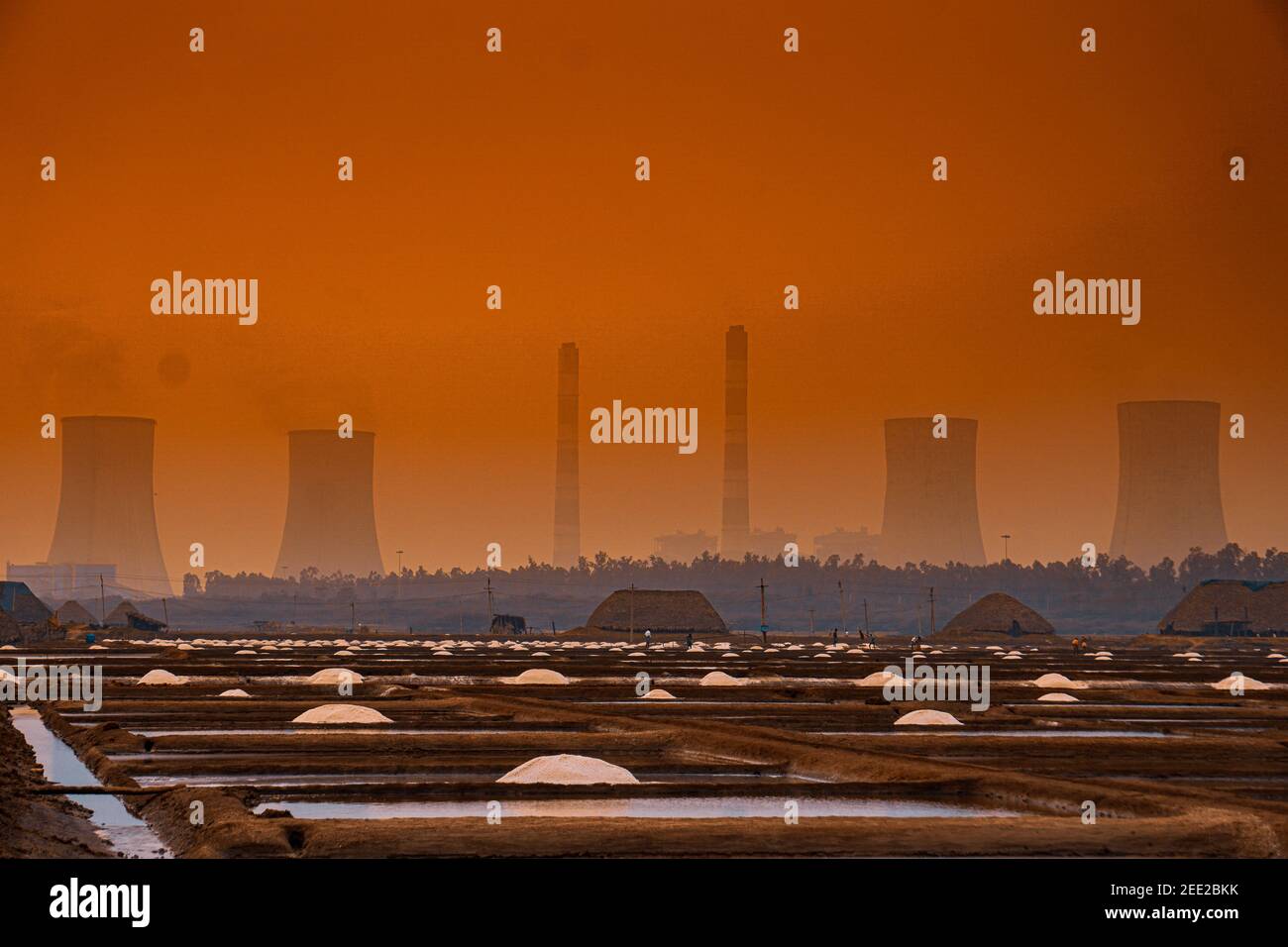 Production of salt on a farm in India Stock Photo - Alamy