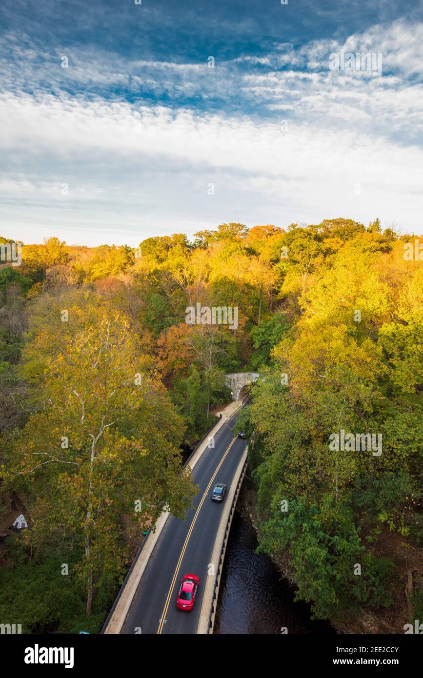 Washington dc forest hi-res stock photography and images - Alamy