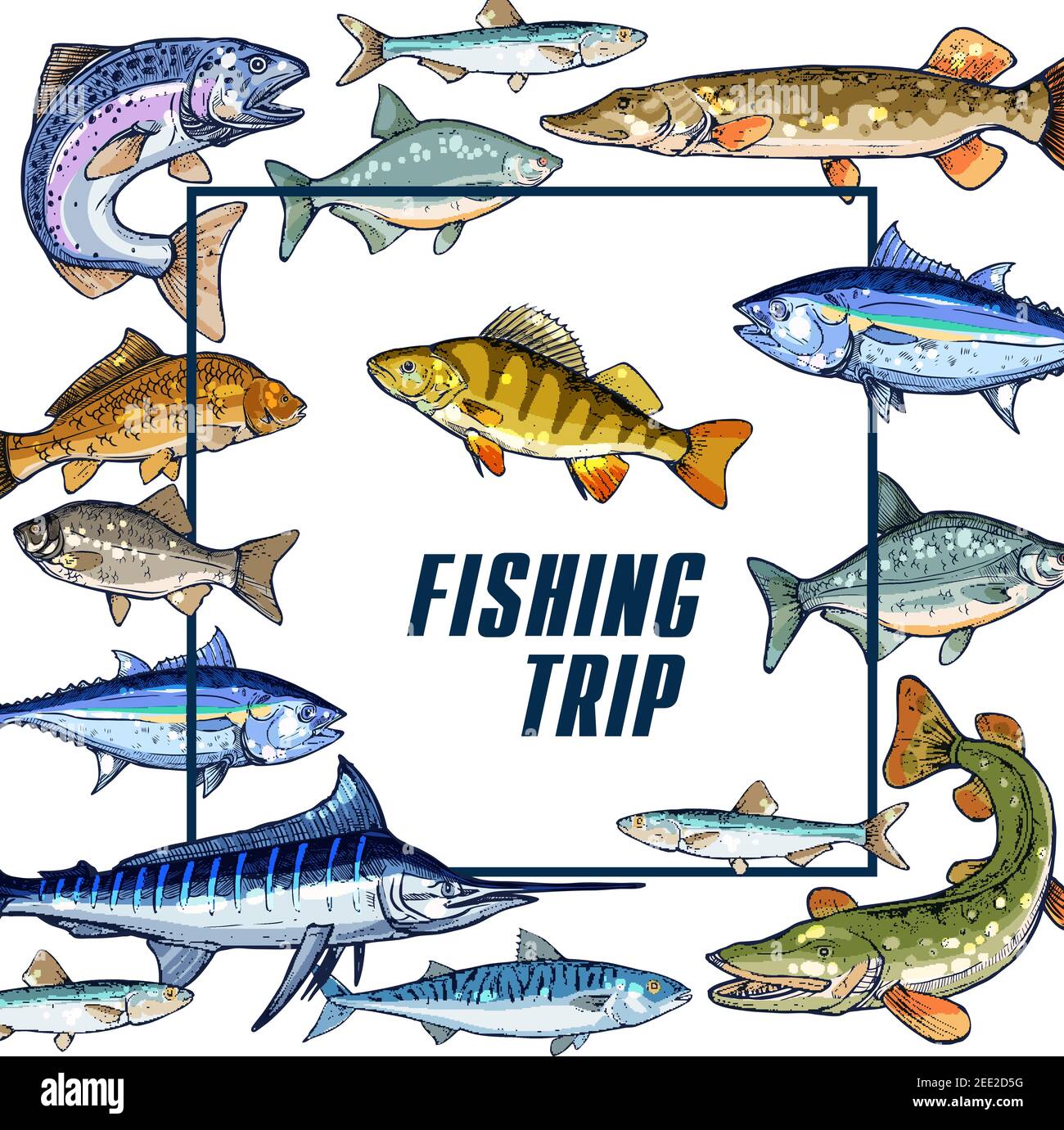 Fishing trip vector sketch poster for fisher club members. Design ...
