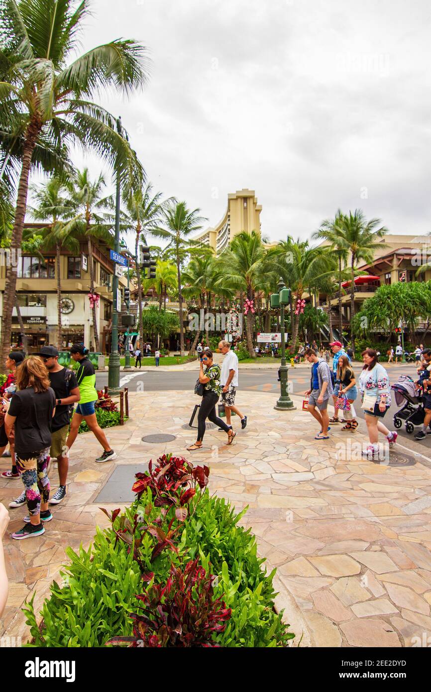 Oahu hawaii christmas hi-res stock photography and images - Alamy