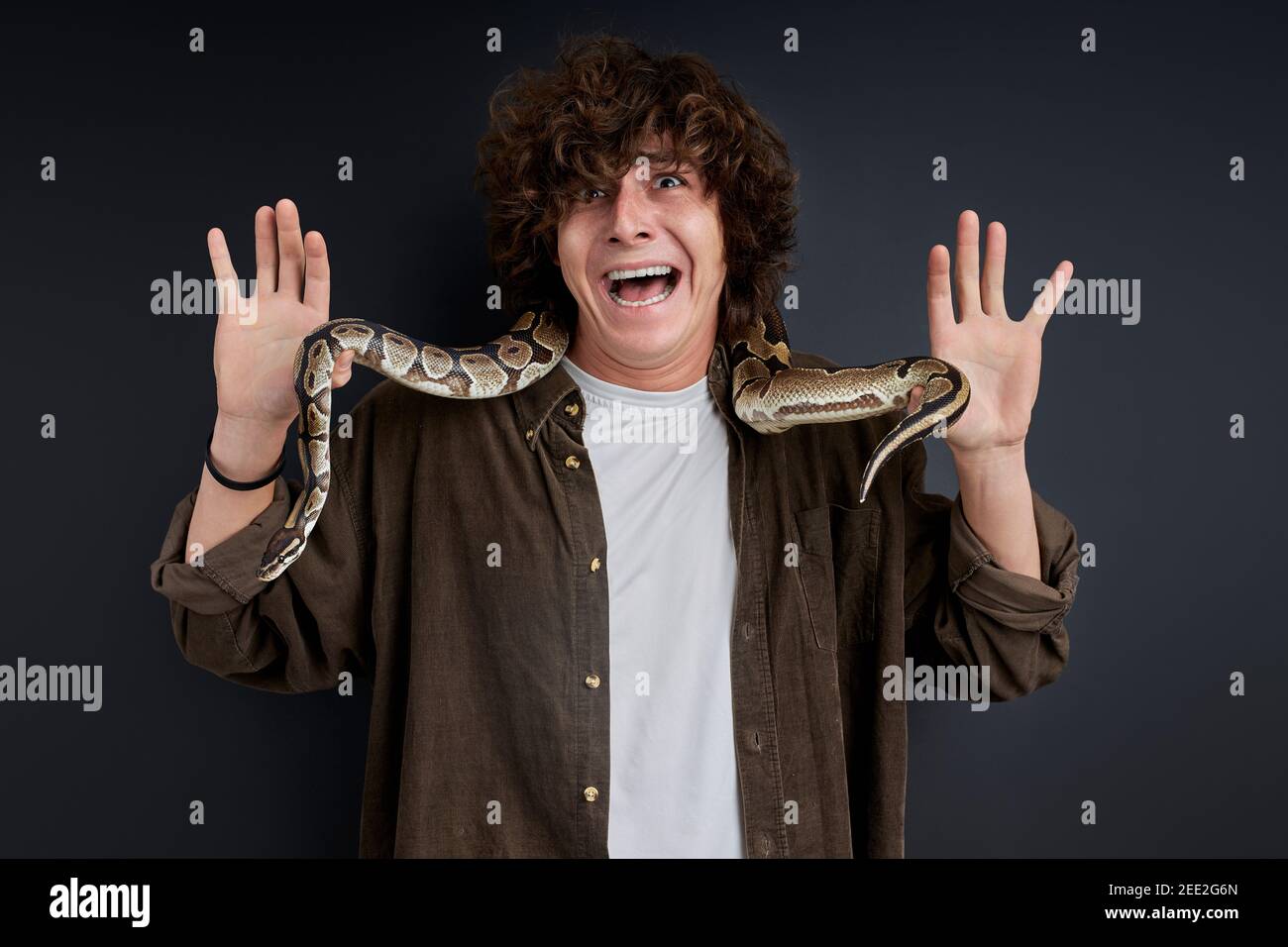 male stands terrified with a snake on his body, shouting, screaming by ...