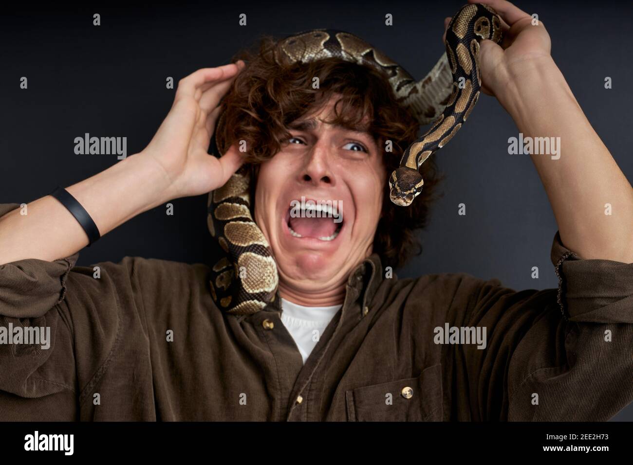 Scared person snake hi-res stock photography and images - Alamy