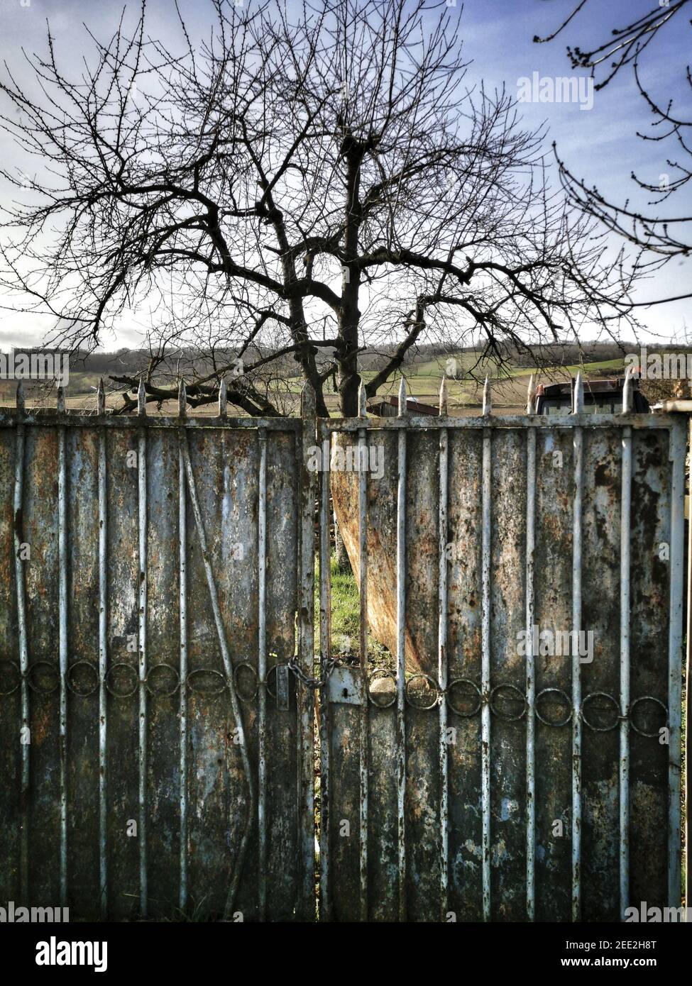 Old metal gate in nature, France Stock Photo - Alamy