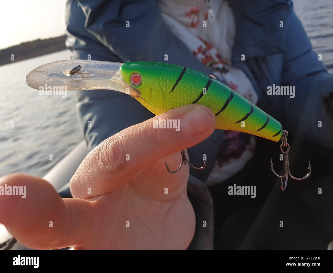 wobbler in hand, fishing for predatory fish on spinning from a boat ...