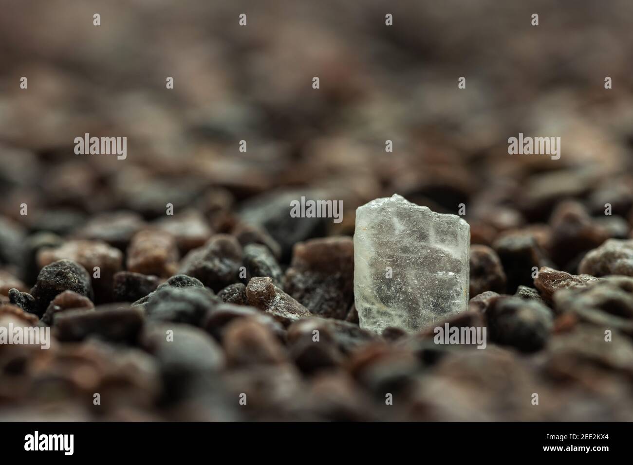 Clear crystal of salt on a layer of black Himalayan salt Stock Photo ...