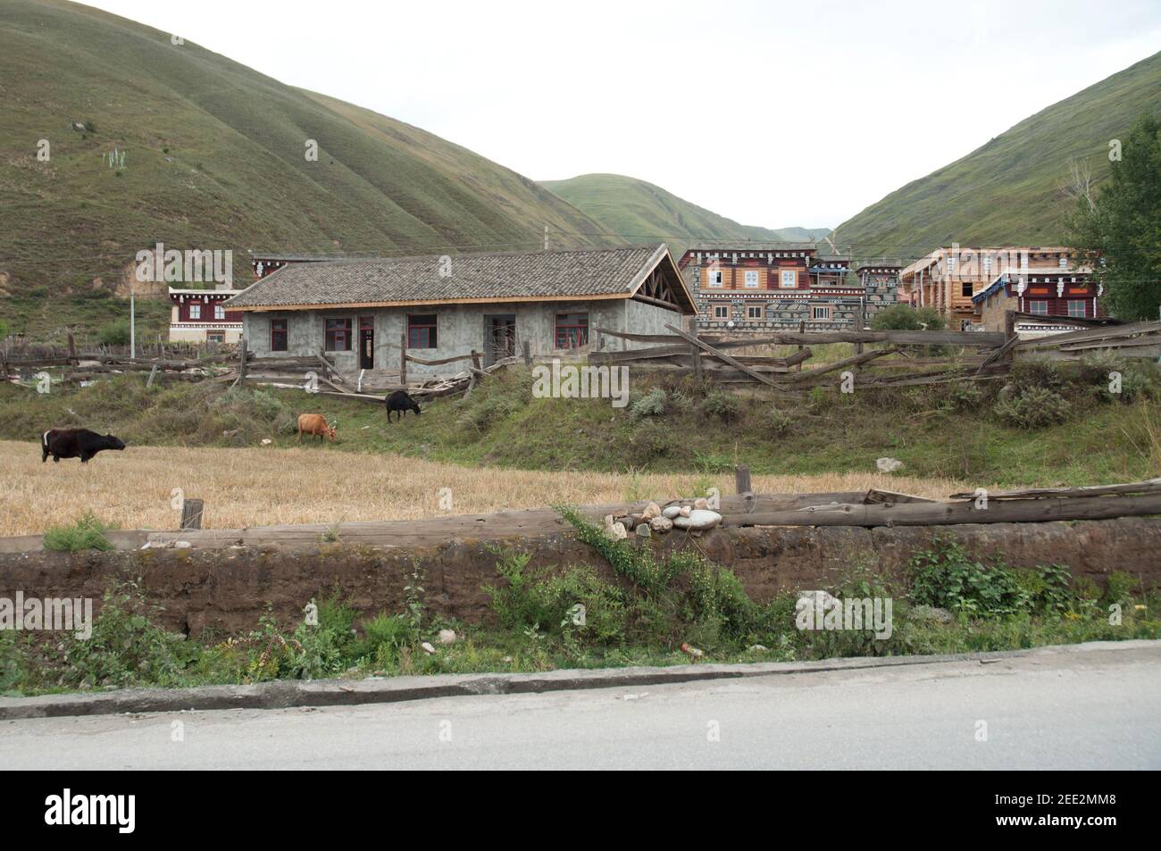 Tibetan farm hi-res stock photography and images - Alamy
