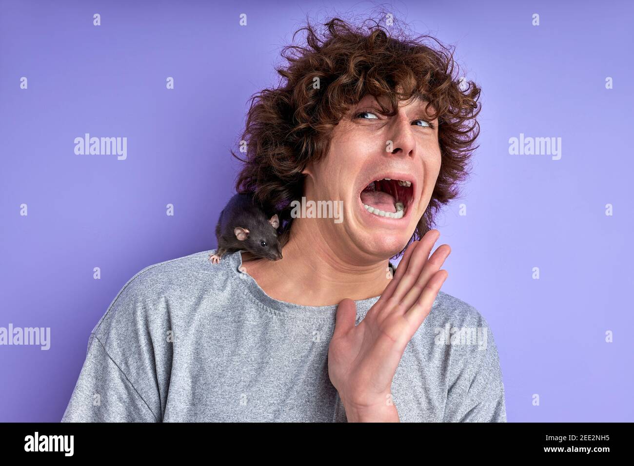 Human ear mouse hi-res stock photography and images - Alamy