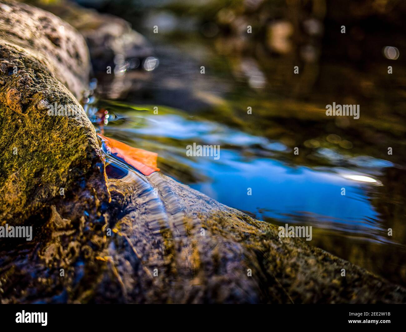 Everything Flows IV. Flowing slowly under the rock, the quiet, smooth ...