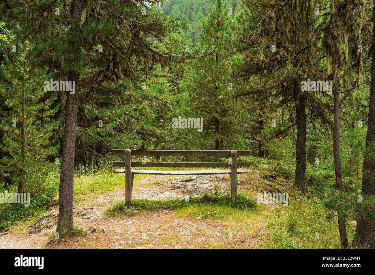 Wooden park bench in a forest Stock Photo - Alamy