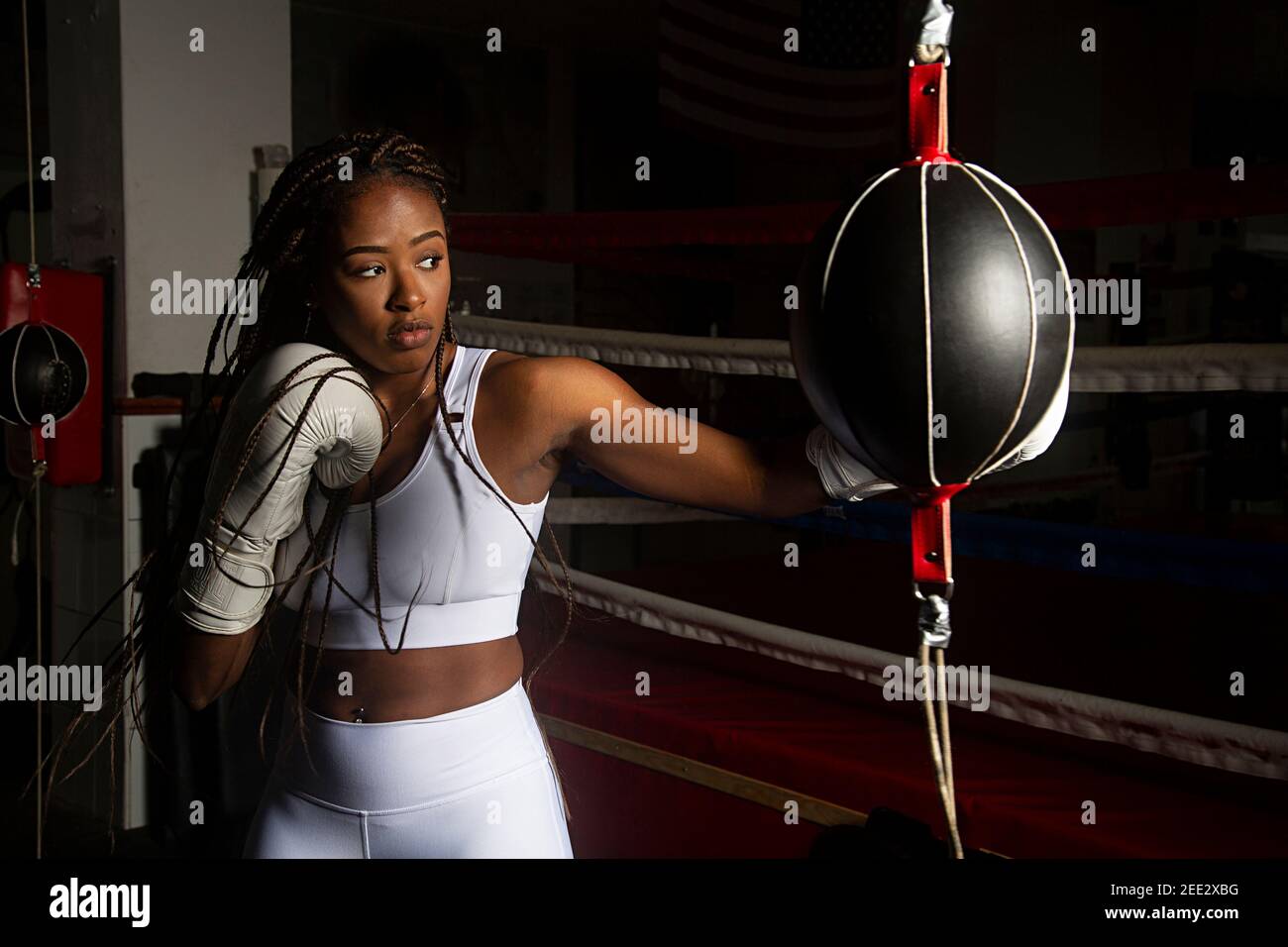 Young black woman training boxing in gym with the ring boxing ...
