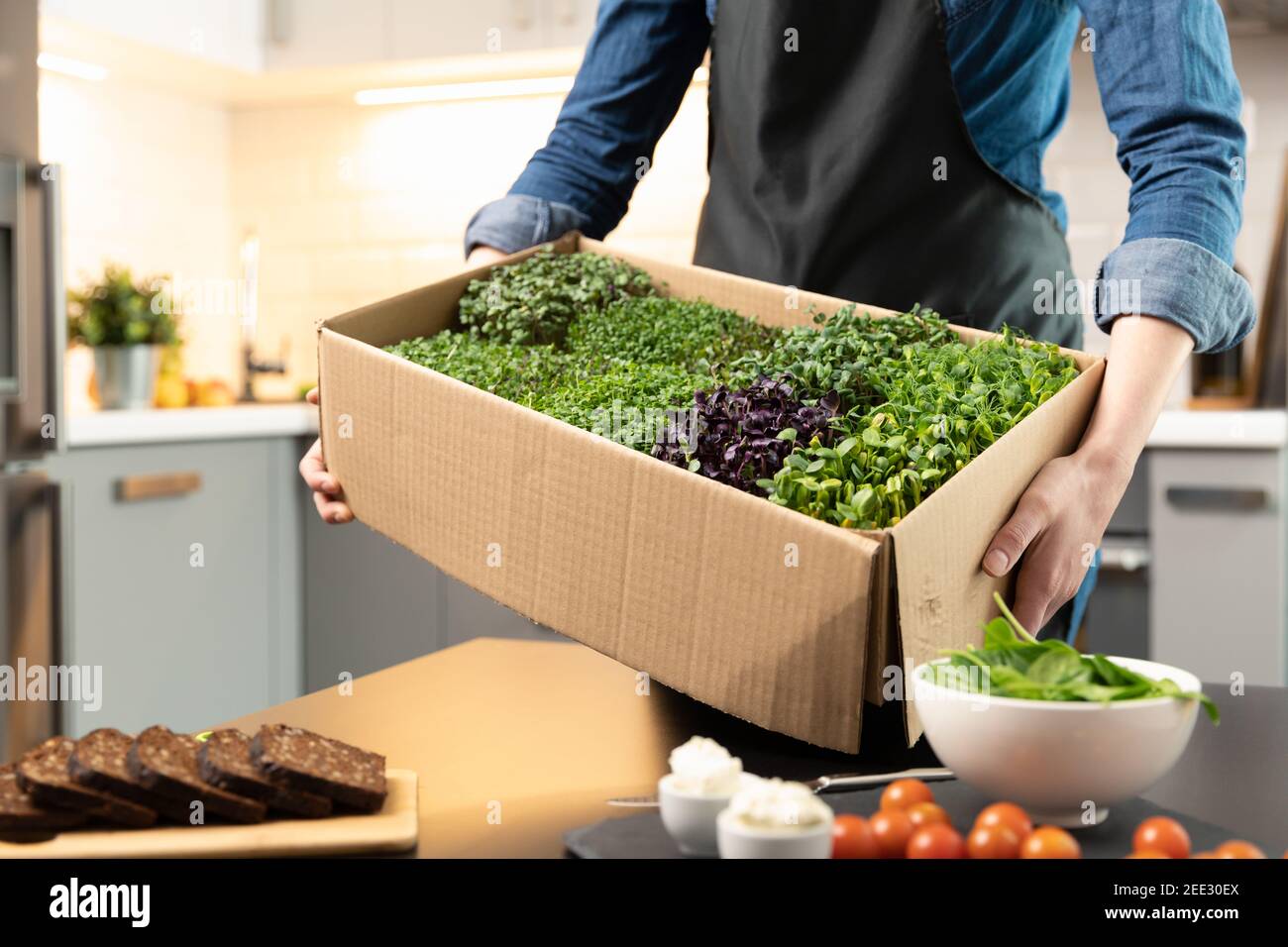 Organic raw microgreens - woman holding a cardboard box of healthy ...