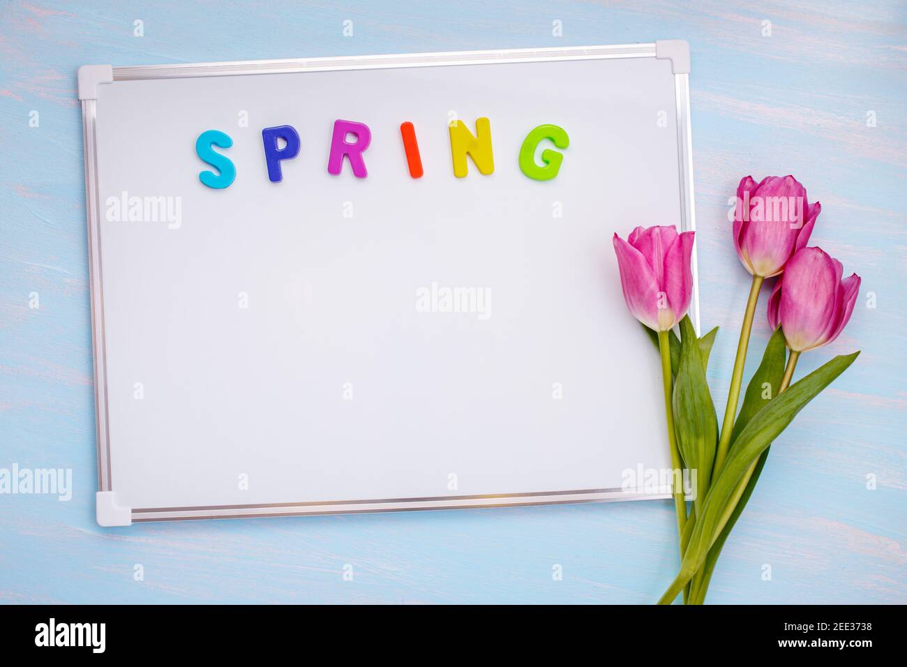 Plastic writing board with text spring spelled in letters and space for ...