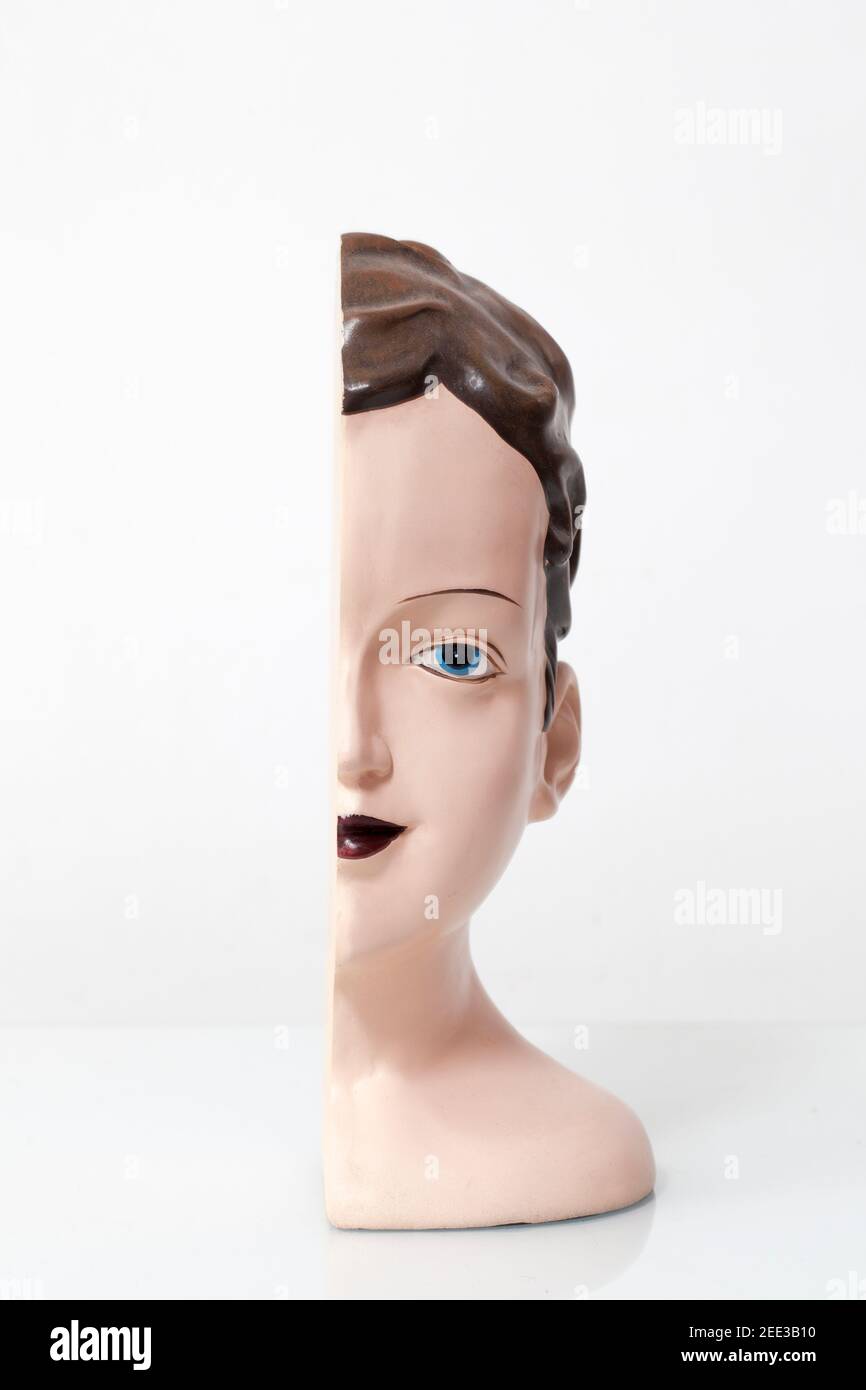 Plastercast Male Head Model Mannequin Face Figure Stock Photo - Alamy