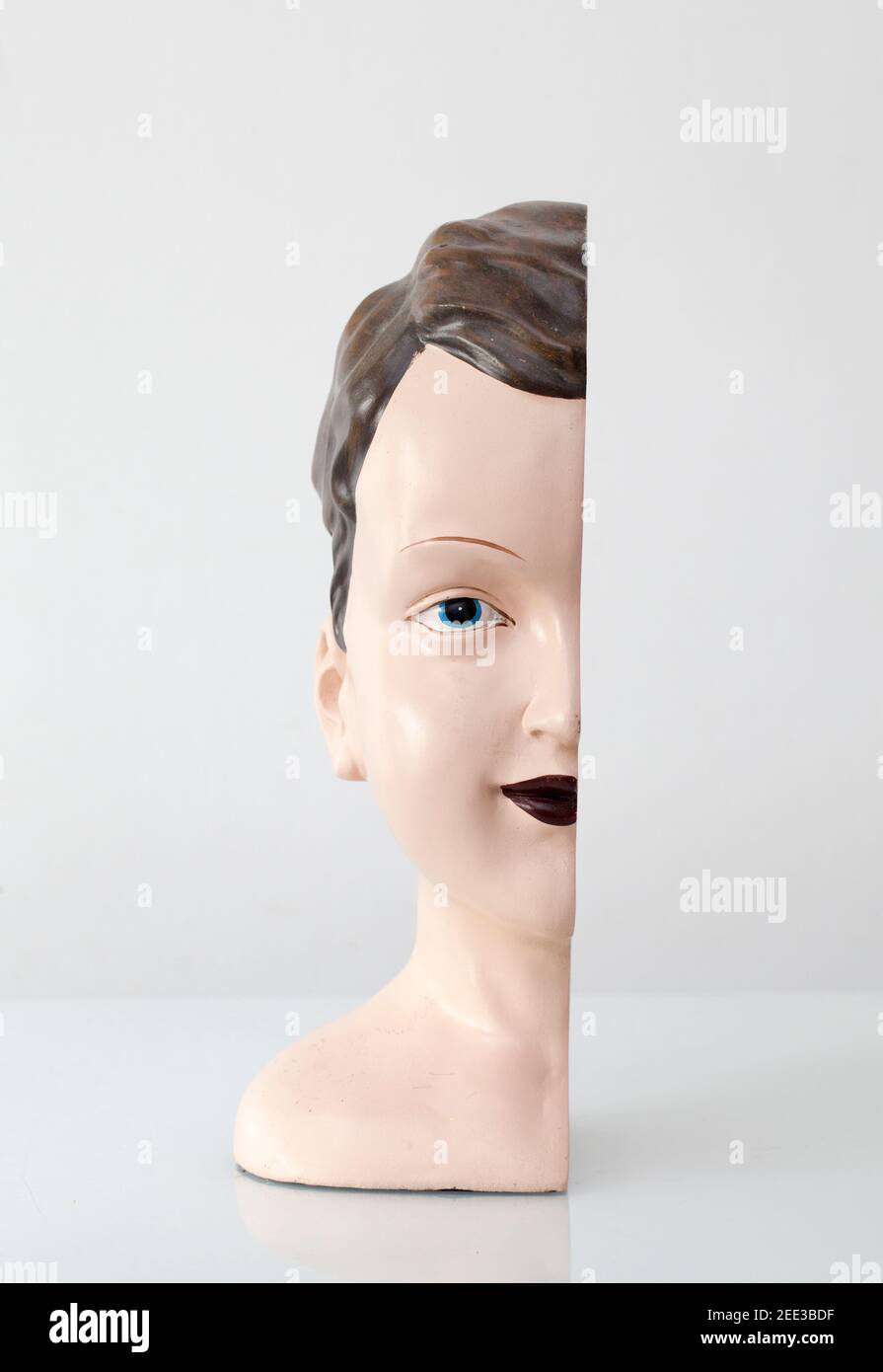 Plastercast Male Head Model Mannequin Face Figure Stock Photo - Alamy