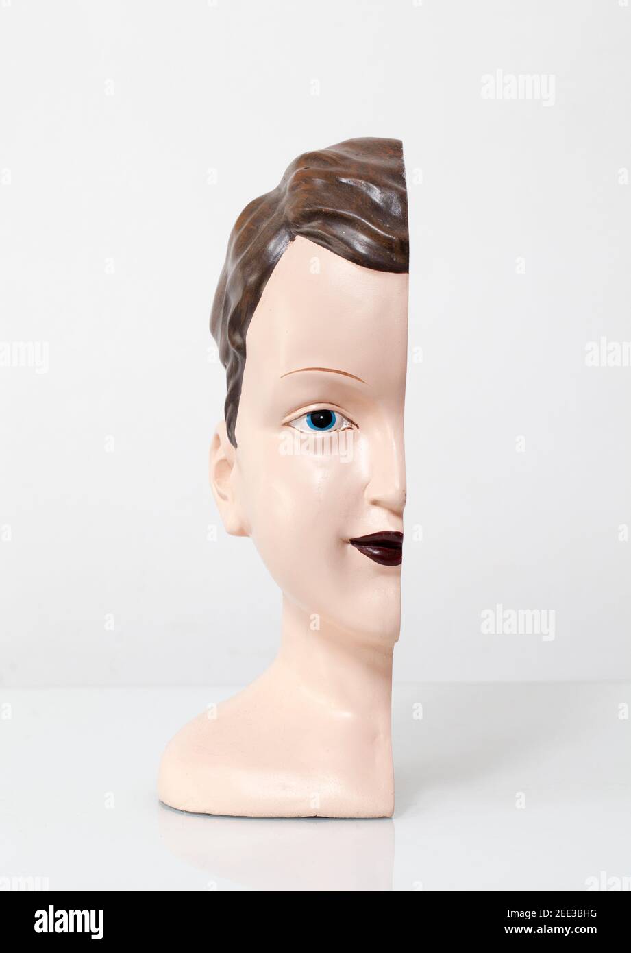 Plastercast Male Head Model Mannequin Face Figure Stock Photo - Alamy
