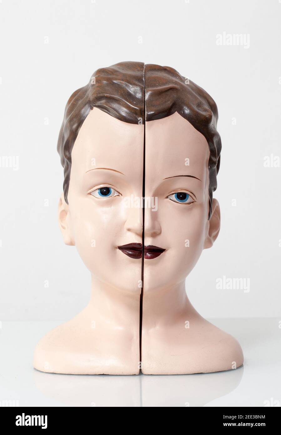 Plastercast Male Head Model Mannequin Face Figure Stock Photo - Alamy