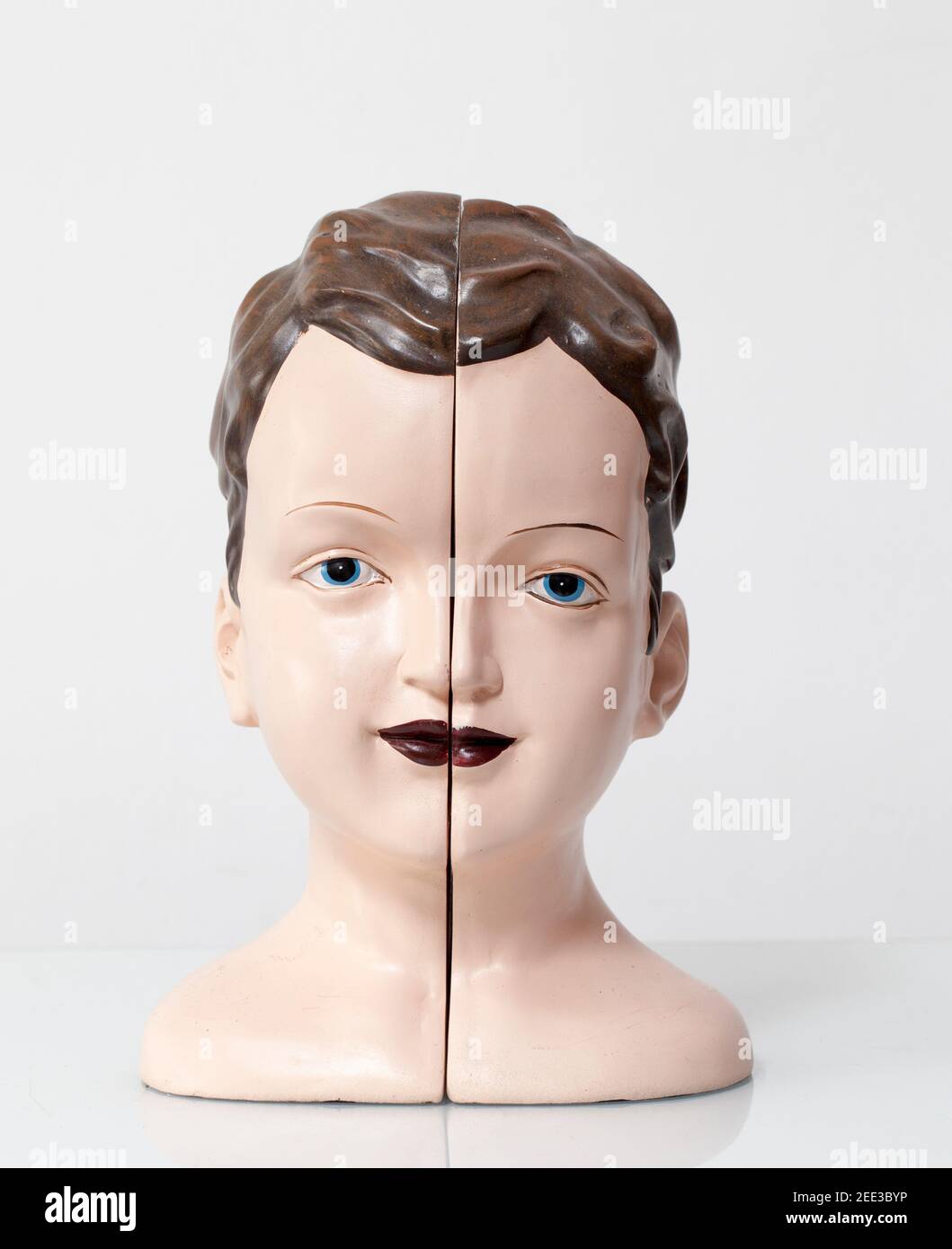 Plastercast Male Head Model Mannequin Face Figure Stock Photo - Alamy