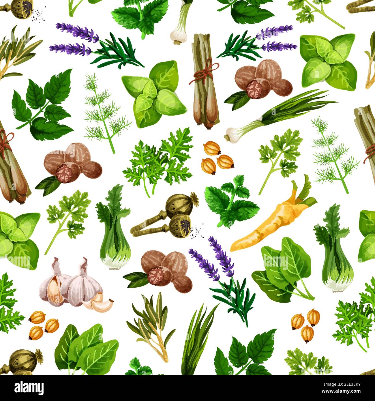 Rosemary thyme oregano Stock Vector Images - Alamy