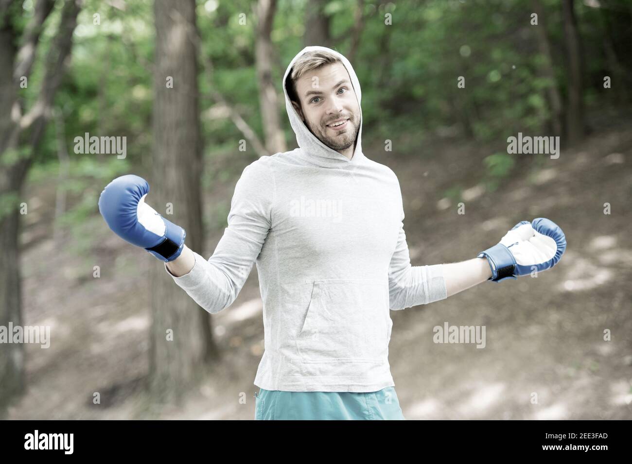 Sportsman boxer training with boxing gloves. Boxing concept. Man ...