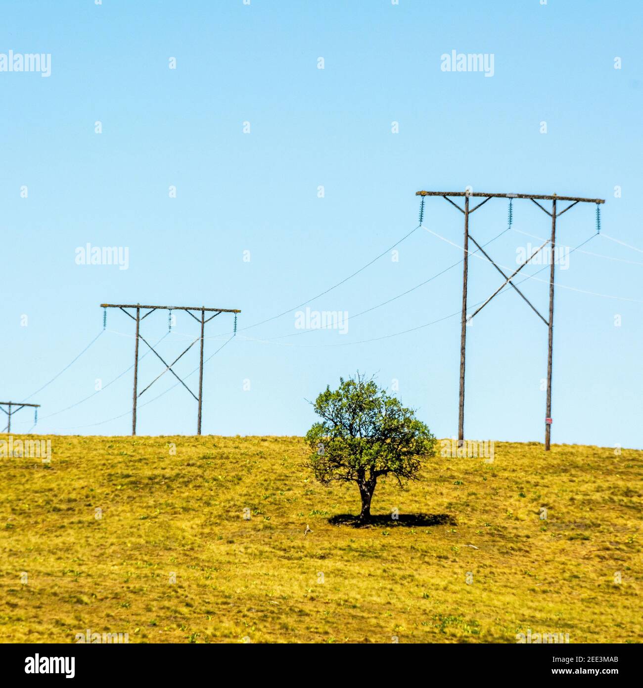 Electricity poles in france electricity hi-res stock photography and ...