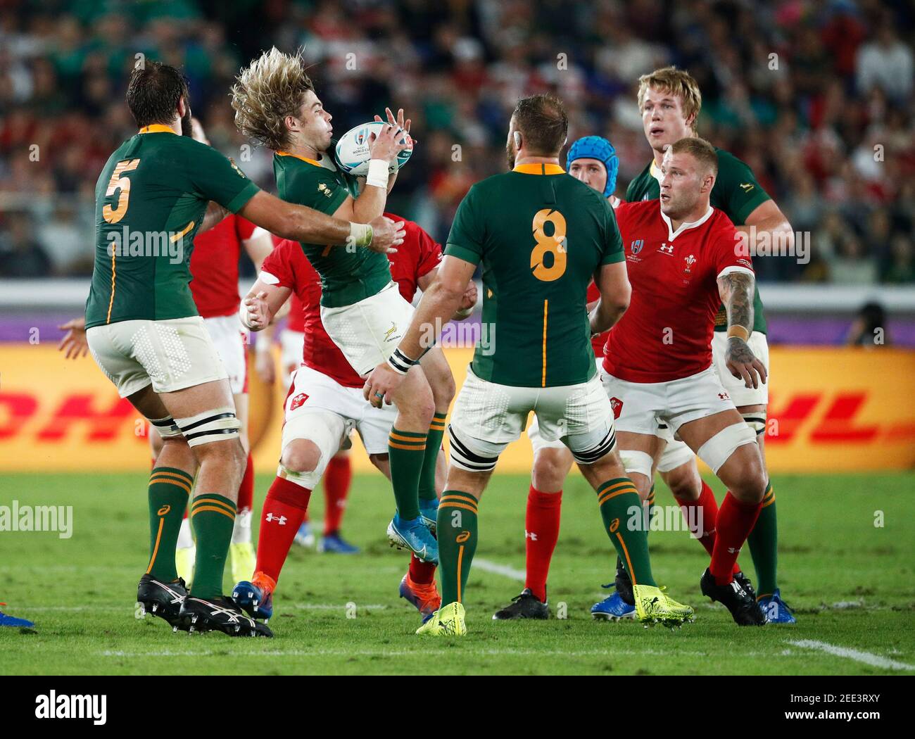 Faf de klerk world cup hi-res stock photography and images - Alamy