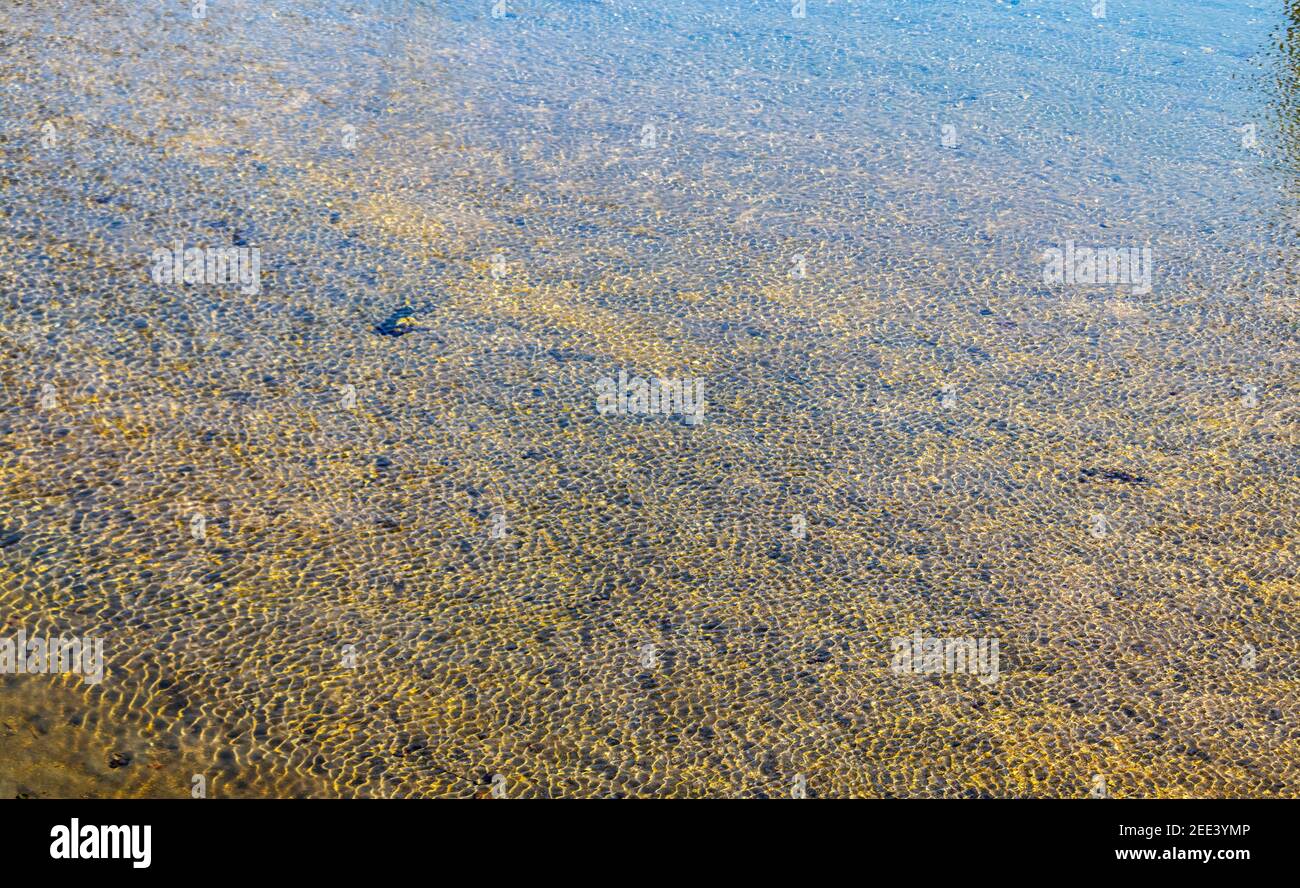 The shallow water of a crystal clear, slow flowing river forms a ...