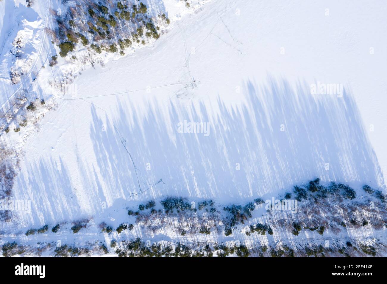 Aerial view of a field covered in trees and snow under the sunlight ...