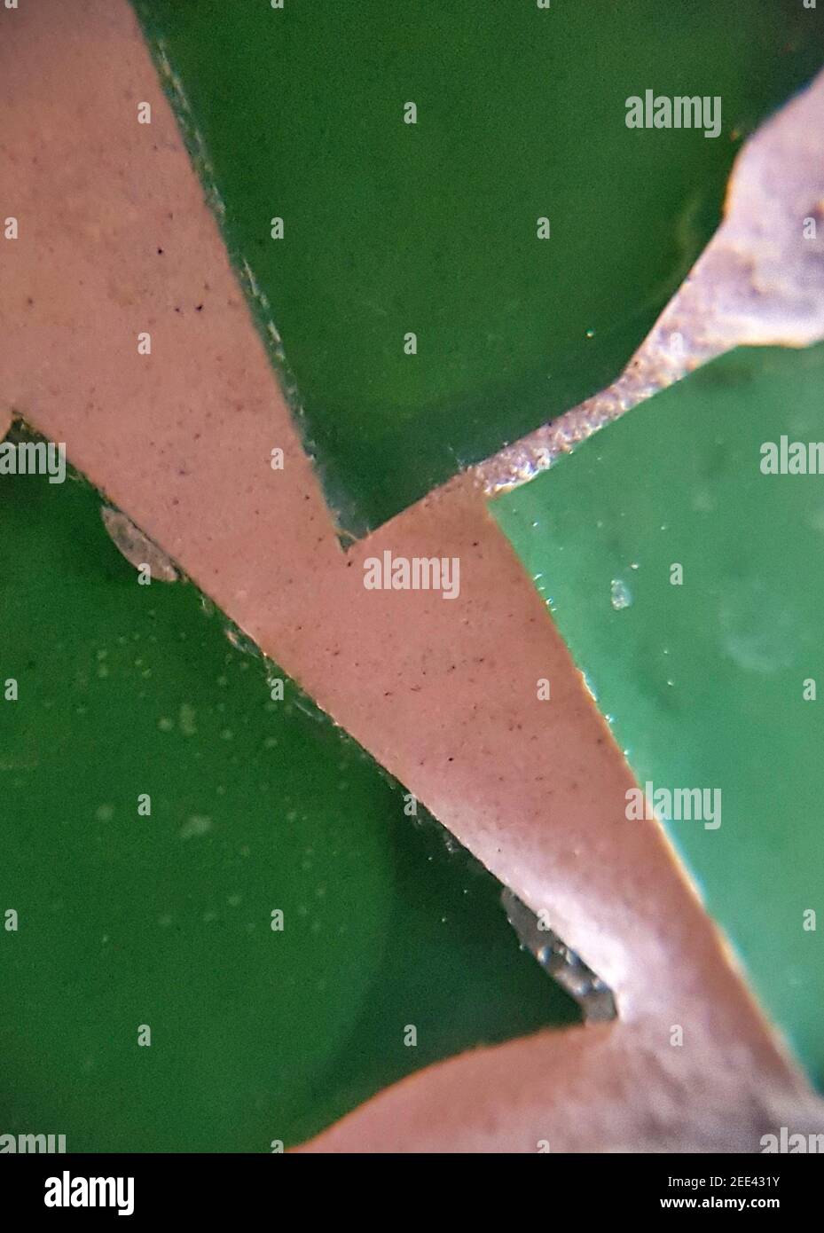 Magnified surface hi-res stock photography and images - Alamy
