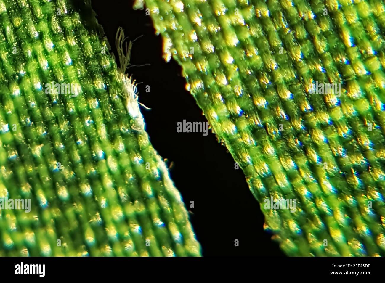 A huge split within a simple plastic leaf seen very close Stock Photo ...
