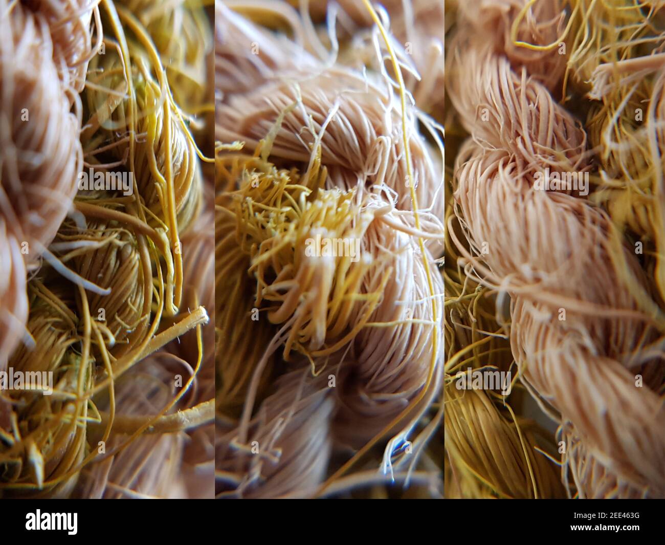 Abstract household objects hi-res stock photography and images - Alamy