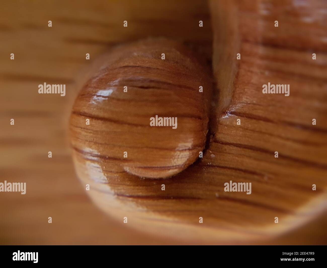 Very smoothly carved woodwork seen very close Stock Photo - Alamy