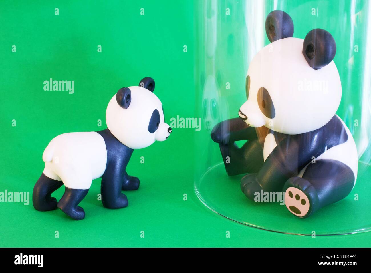 Little Panda toy outside the window glass, big Panda toy inside the ...