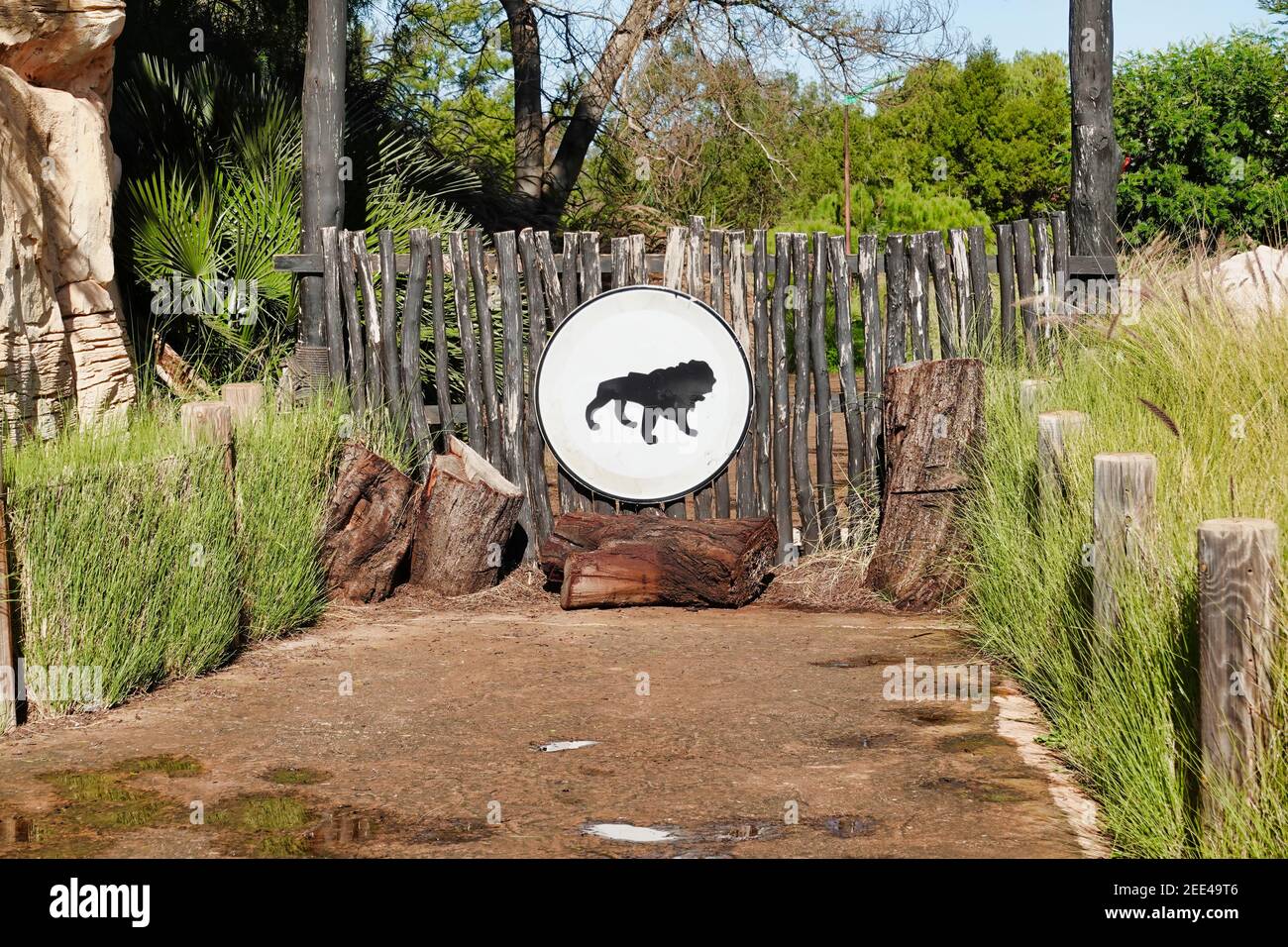 Lion's enclosure sign at a zoo Stock Photo - Alamy
