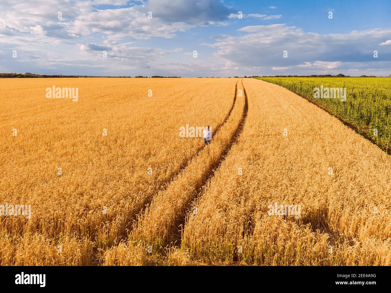 Farmer pov hi-res stock photography and images - Alamy