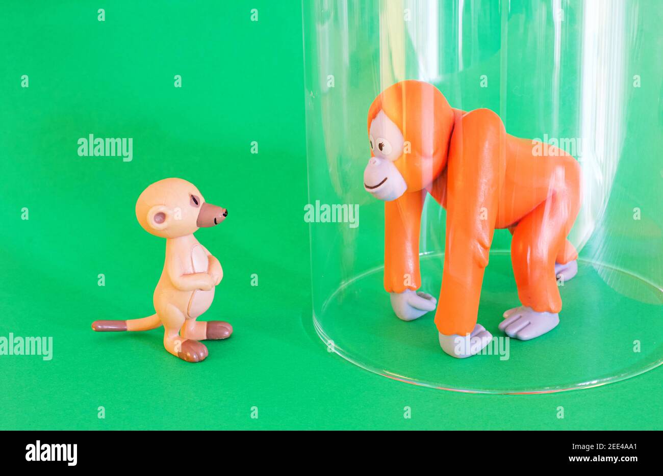 Little Monkey With Big Monkey High Resolution Stock Photography and ...